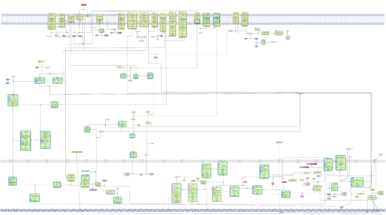 TRANSFAC - GeneXplain GmbH