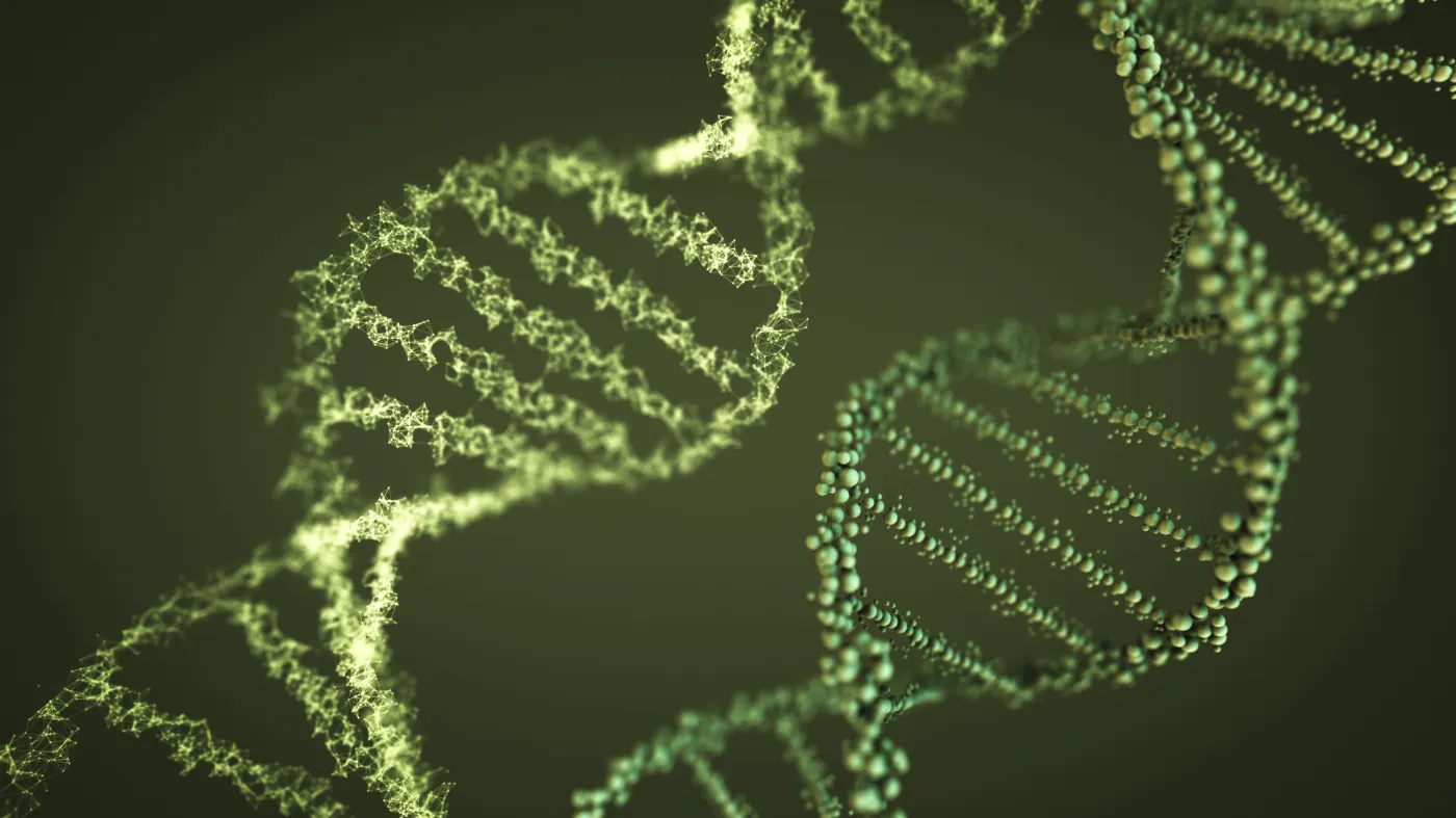 What are Transcription factors? - GeneXplain GmbH