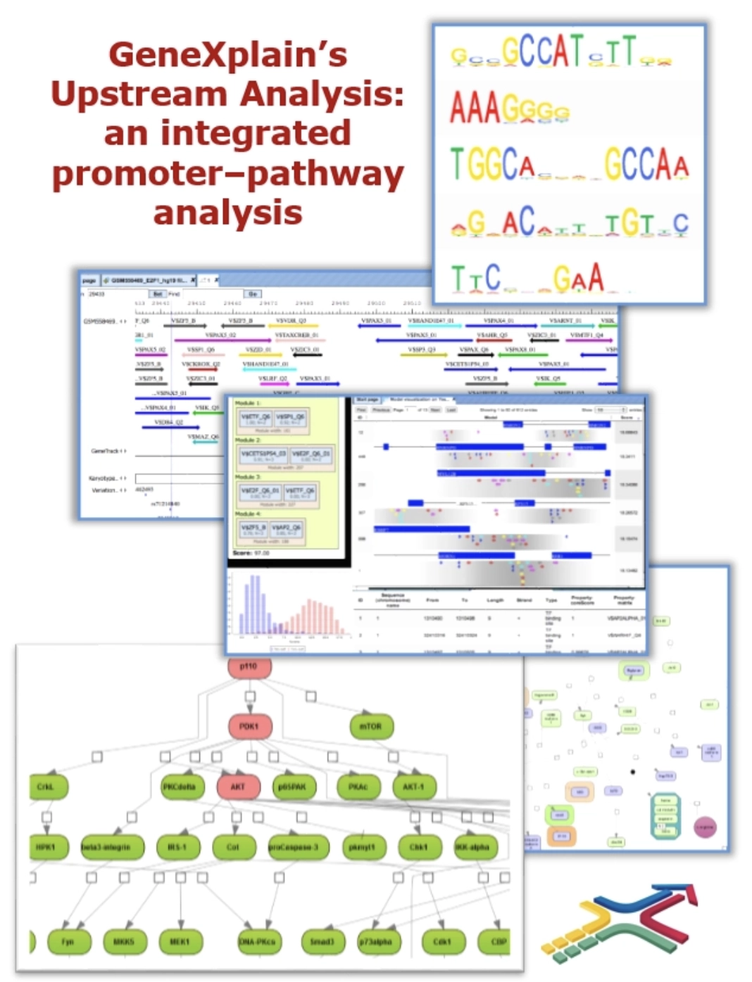 Upstream Analysis: Identifying Master Switches in Gene Regulation - GeneXplain GmbH
